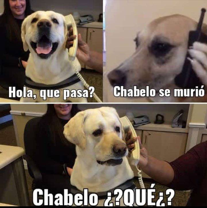 Chabelo será recordado no solo por sus memes,... | MARCA.com