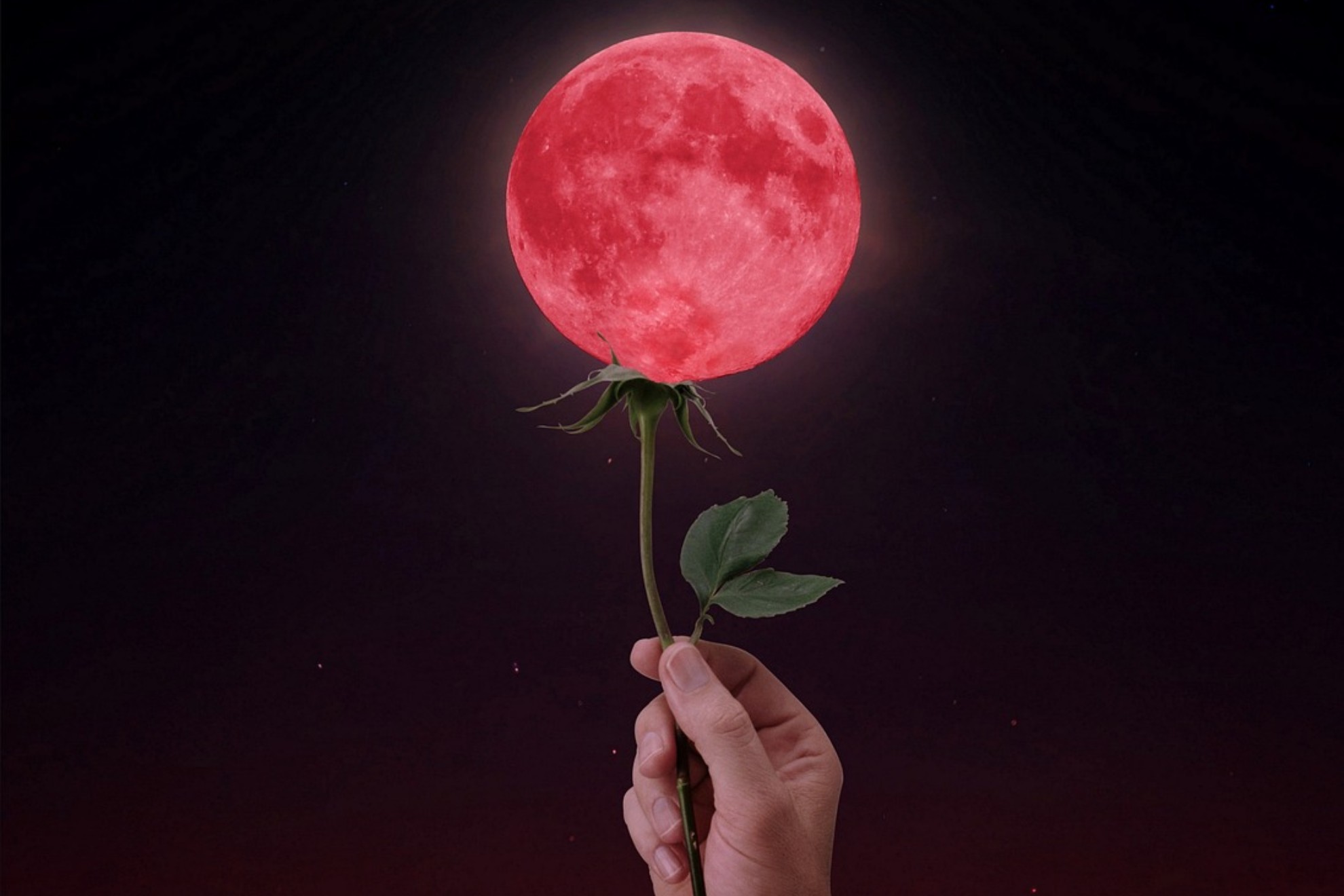 Flor Lunar Del Tiempo Luna De Flores 2024: ¿Cuándo Verla Y Por Qué