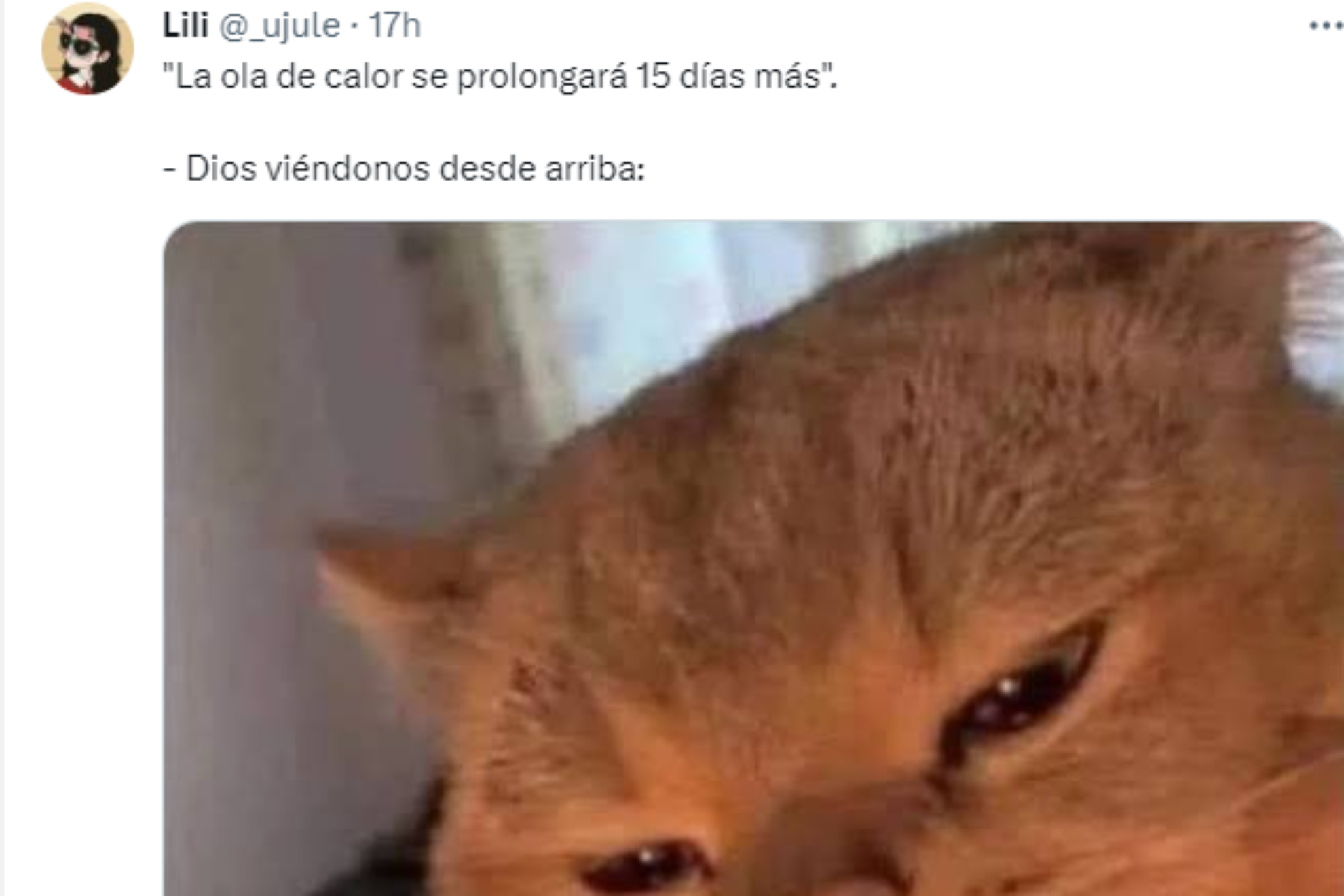 Memes: ola de calor en méxico se extiende y así... | MARCA.com