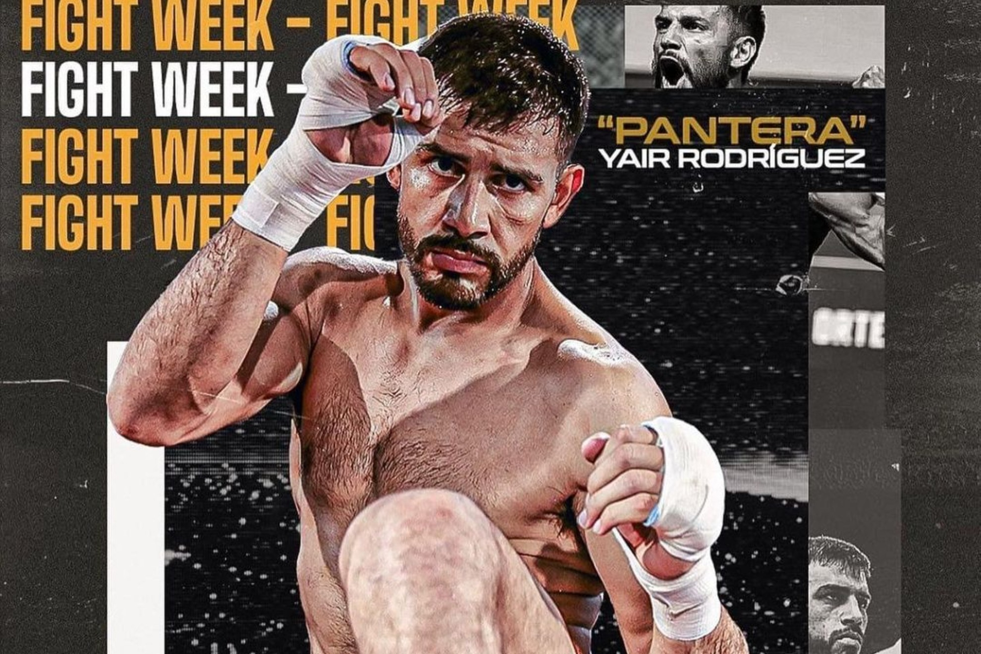 UFC | Todas las noticias