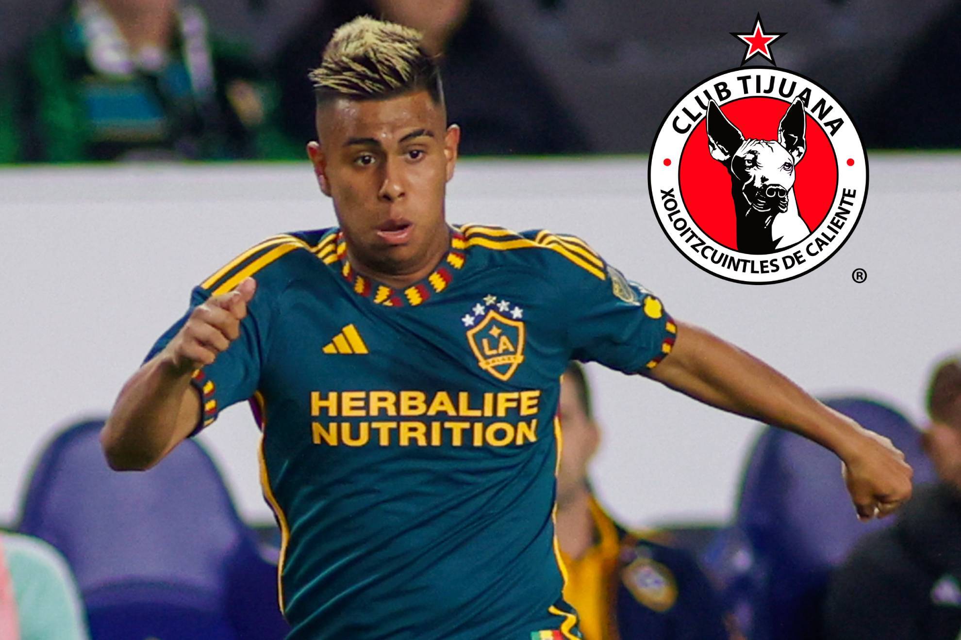 Noticias Club Tijuana hoy - MARCA México