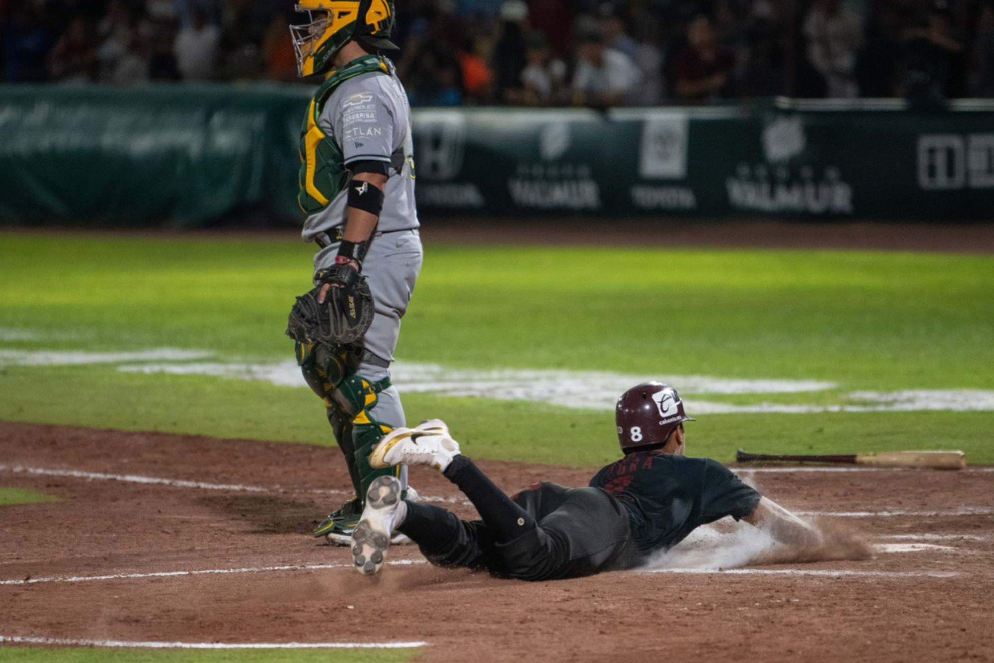 LMB hoy - Todas las noticias de la Liga Mexicana de Béisbol