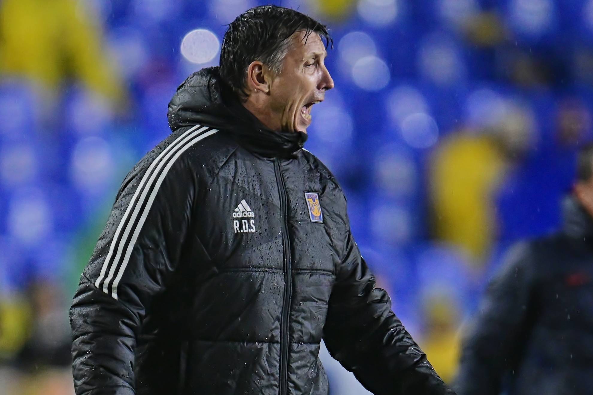 Robert Dante Siboldi - Últimas noticias en MARCA México