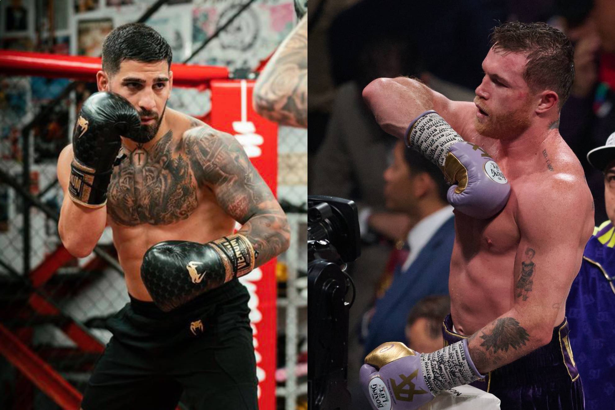 UFC | Todas las noticias