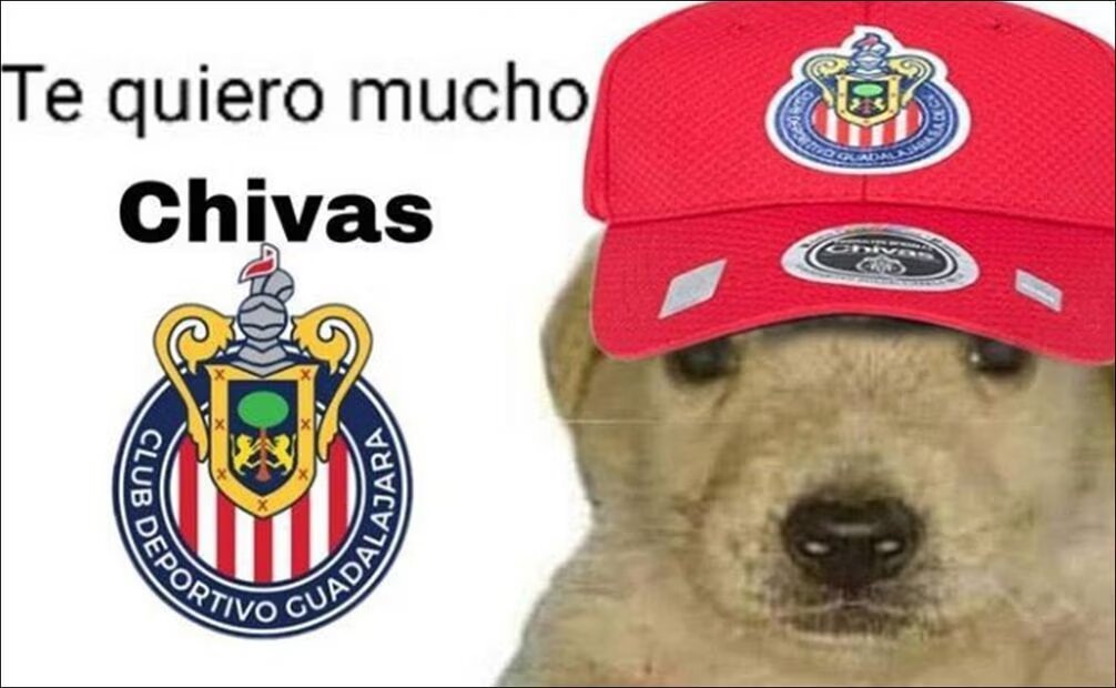 Liga MX 2024Chivas regresa al triunfo y las redes apoyan al... | MARCA.com