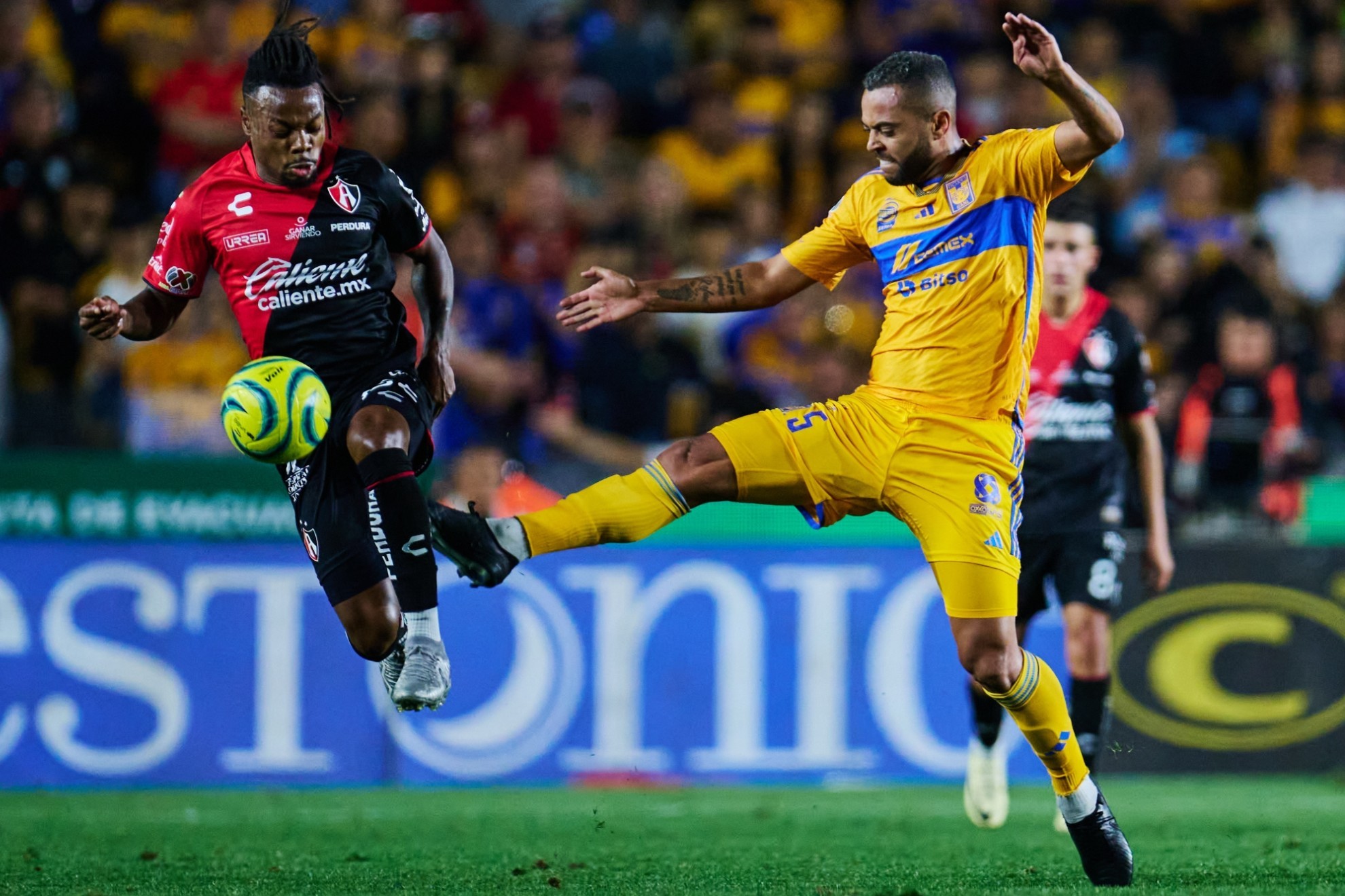 Noticias Club Tigres UANL hoy - MARCA México