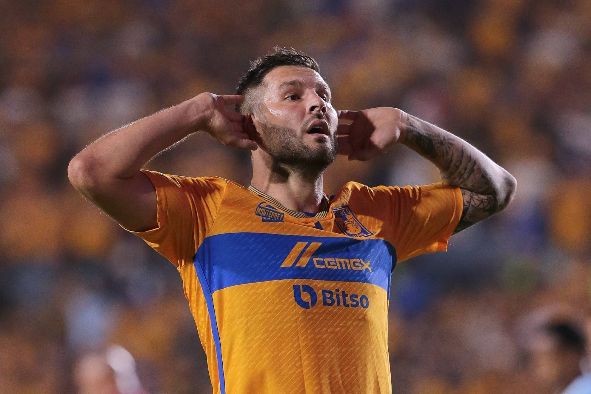 Noticias Club Tigres UANL hoy - MARCA México