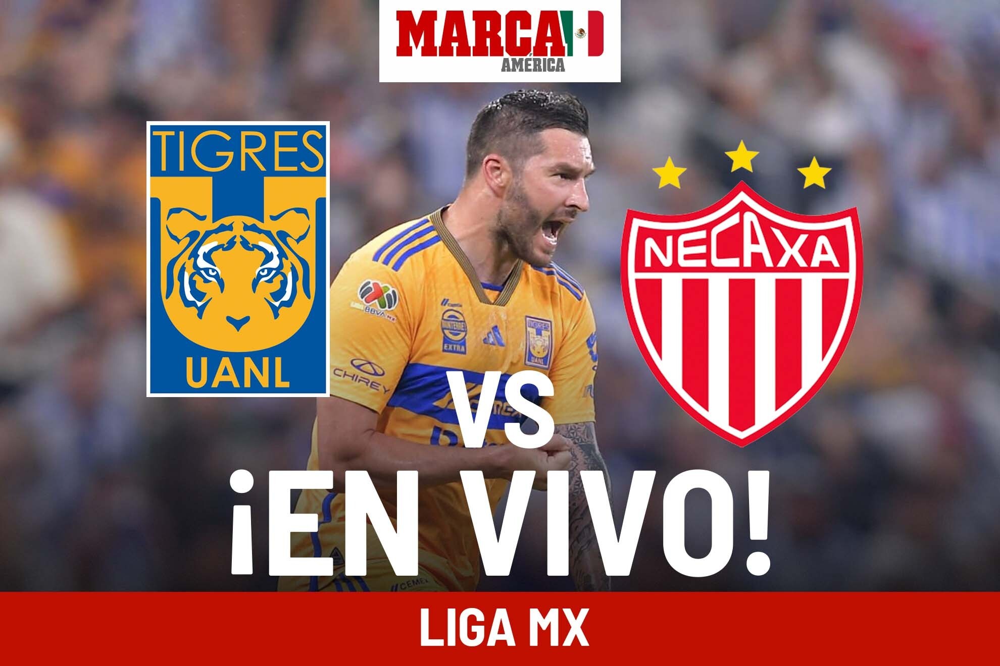 Liga Mx 2024 ¿cuánto Quedó Tigres Vs Necaxa Resultado Y Cronología En