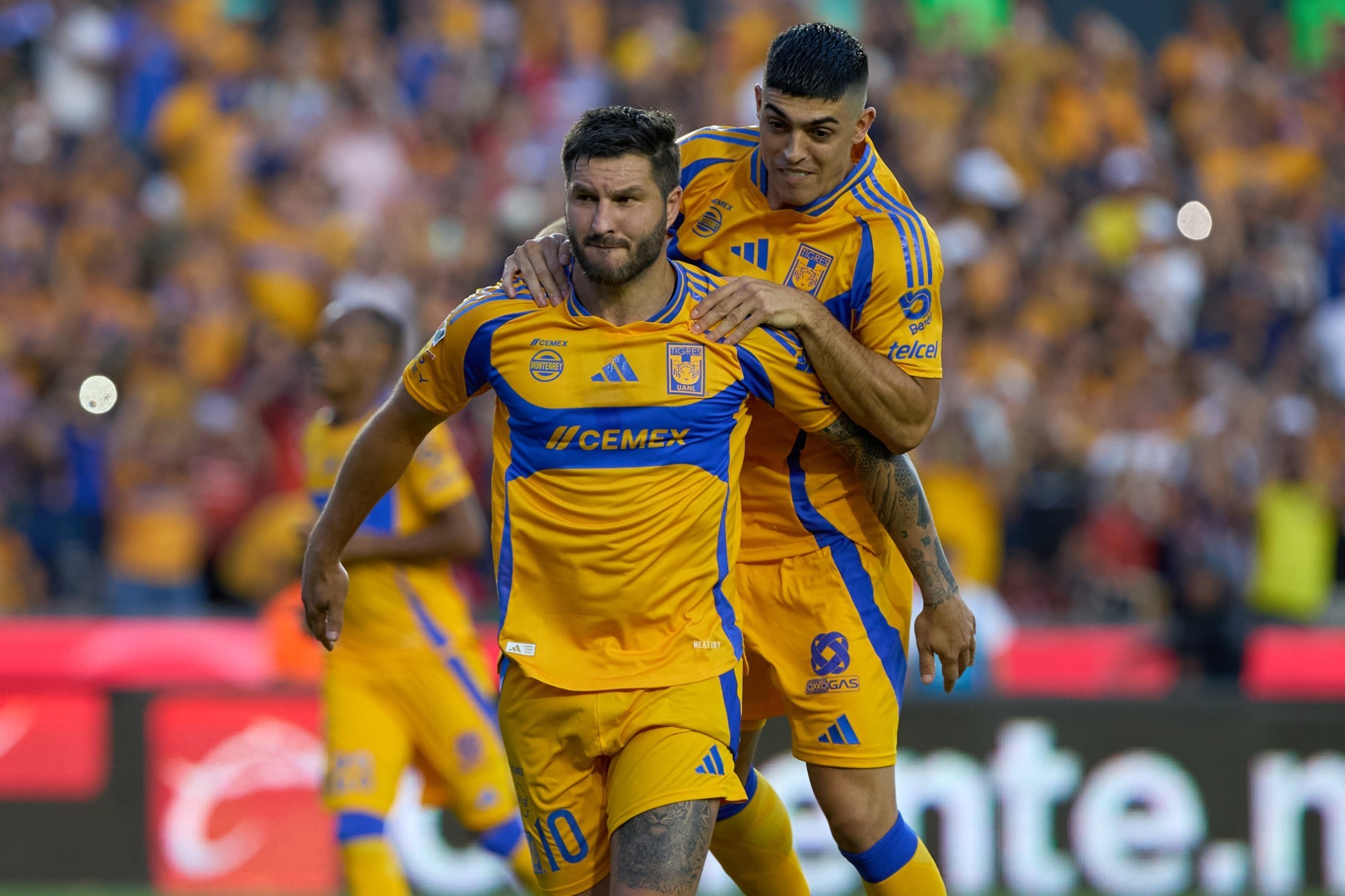 Noticias Club Tigres UANL hoy - MARCA México