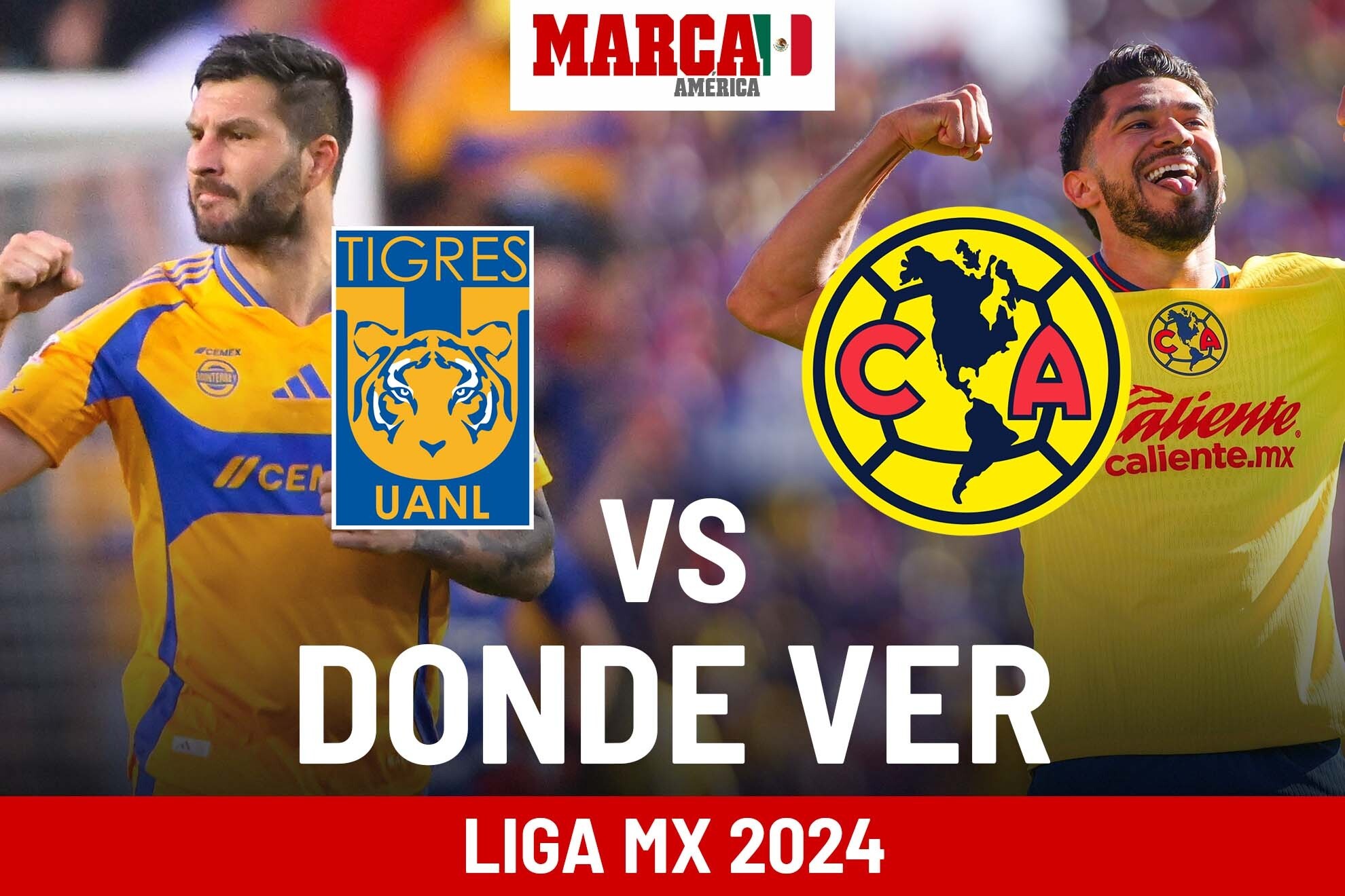 Noticias Club Tigres UANL hoy - MARCA México
