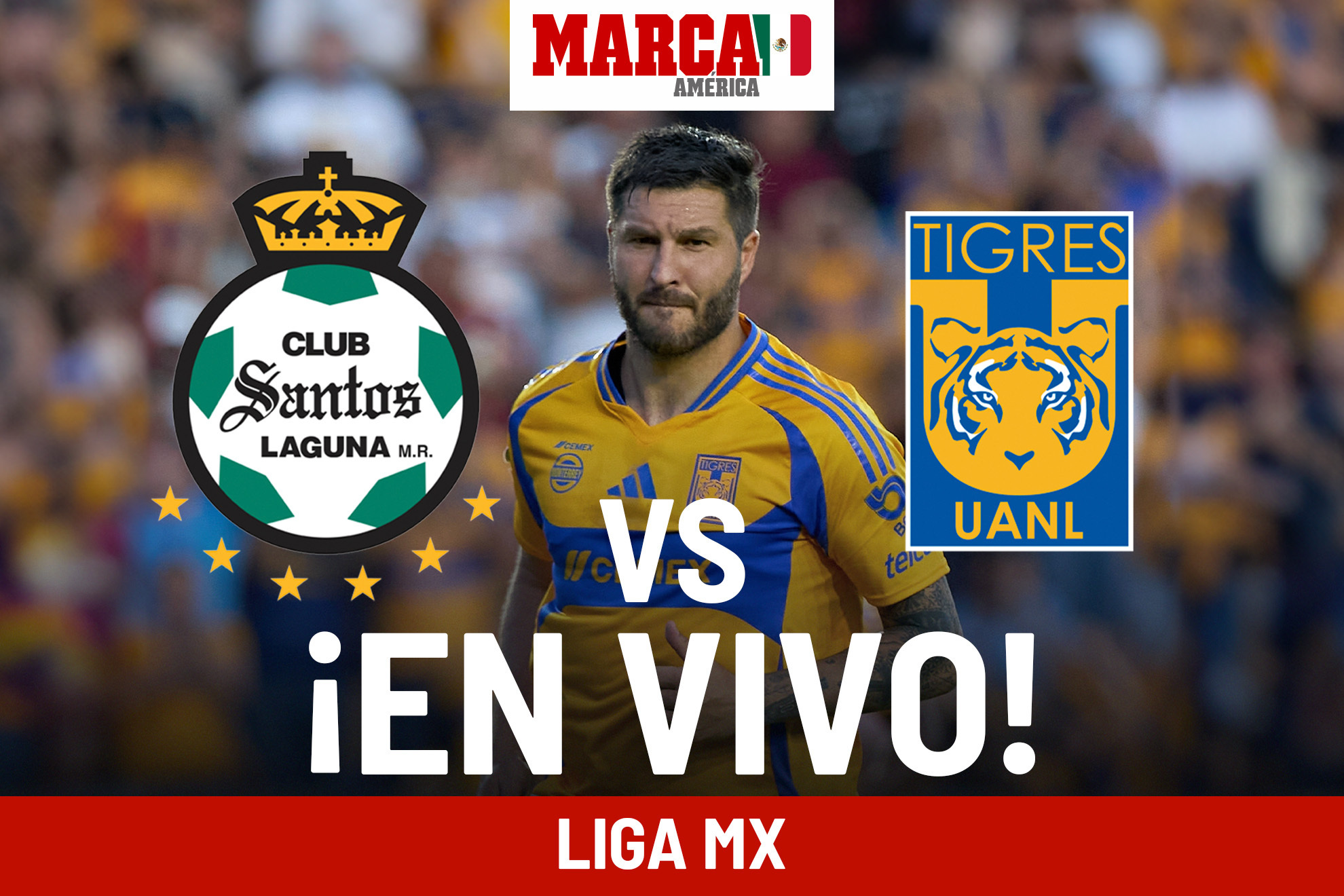 Noticias Club Tigres UANL hoy - MARCA México