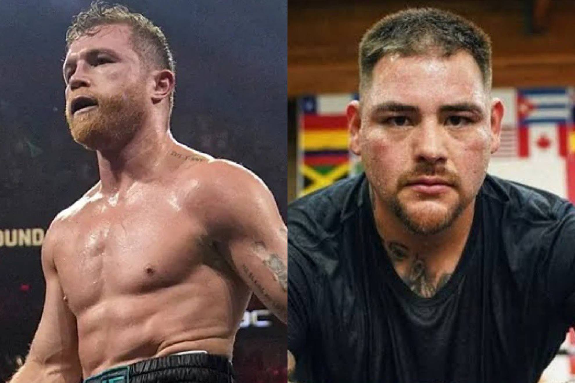 Boxeo - Todas las noticias