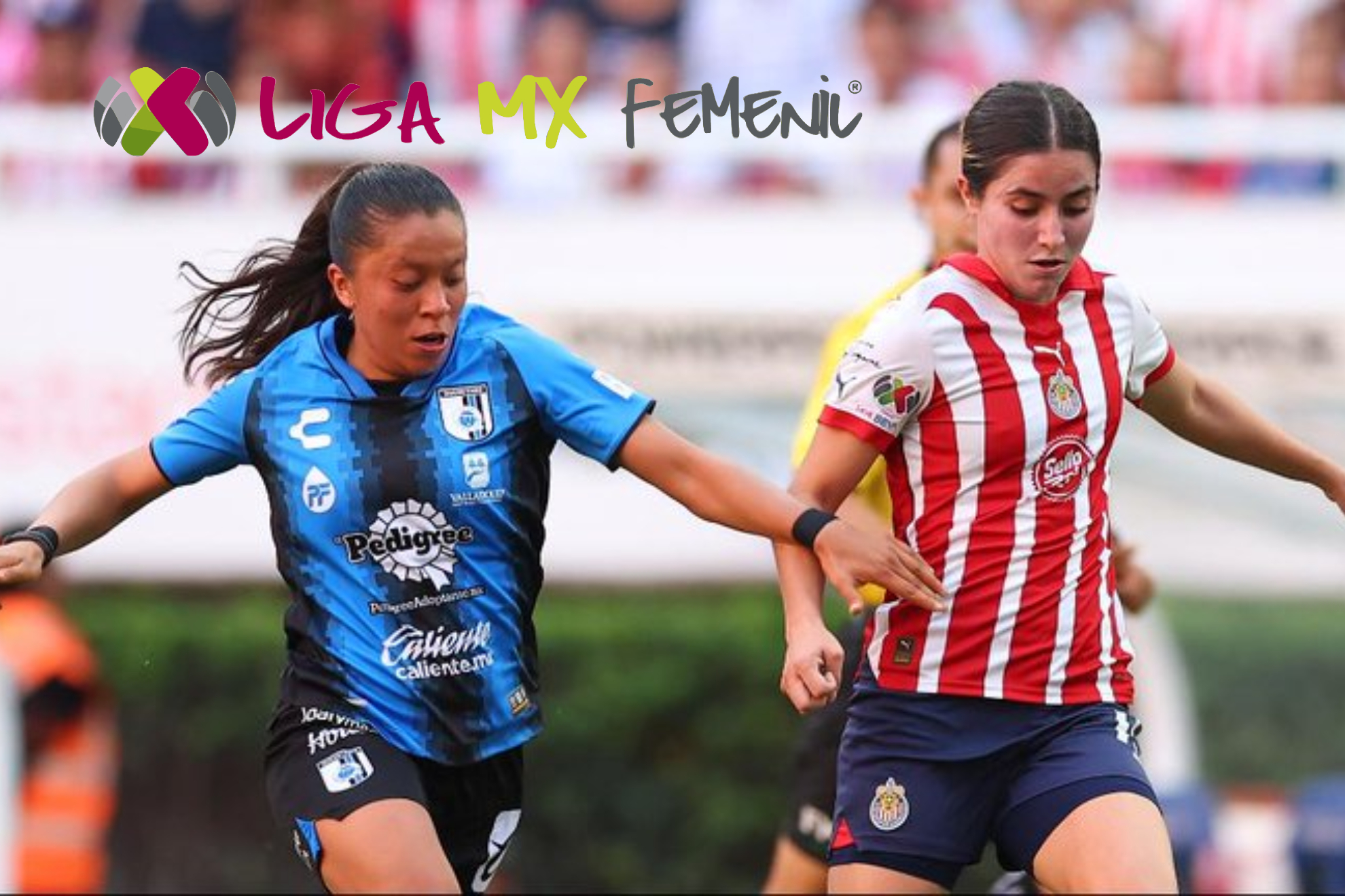 Querétaro FC Femenil - Últimas noticias en MARCA México
