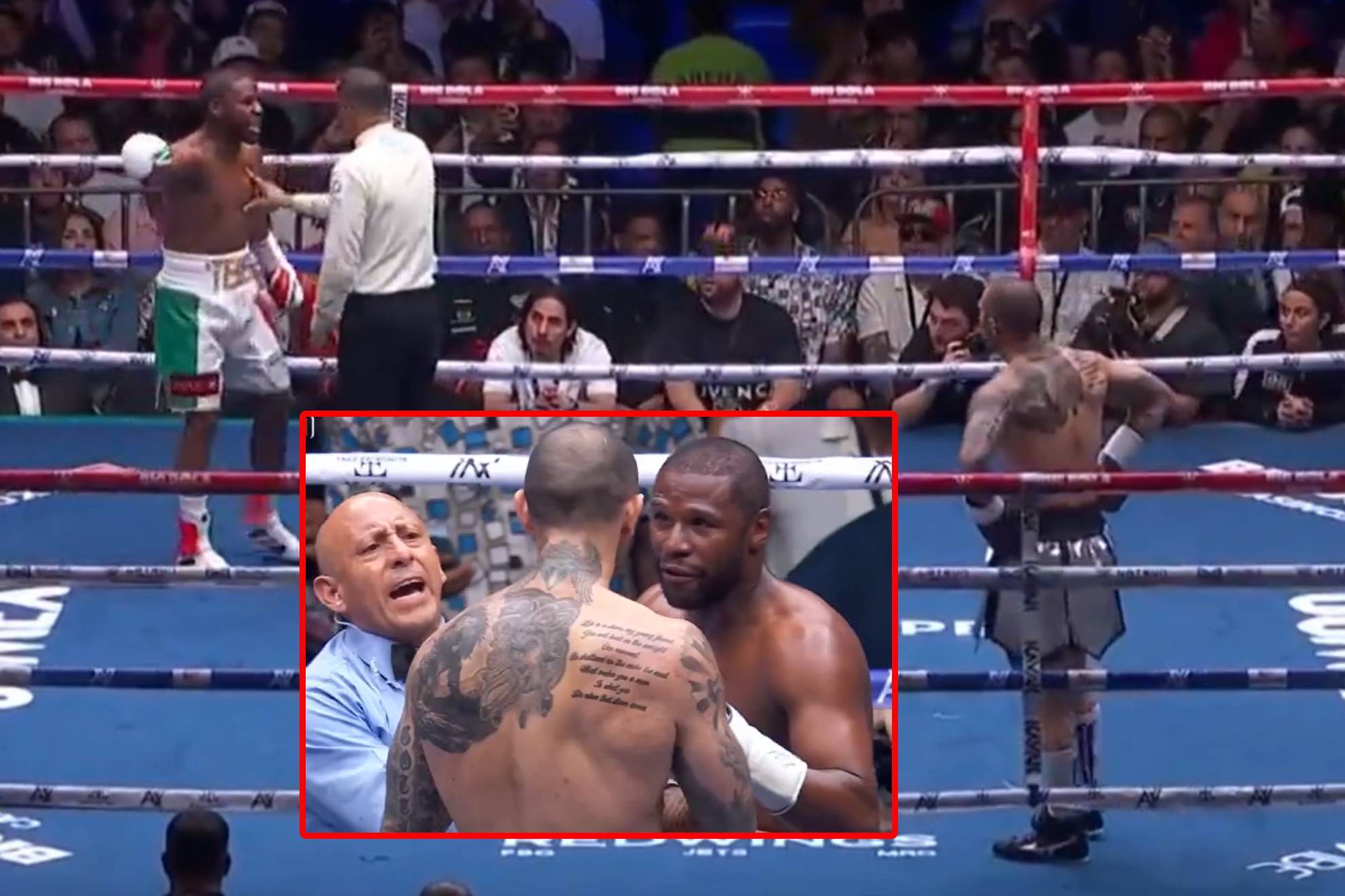 Boxeo - Todas las noticias