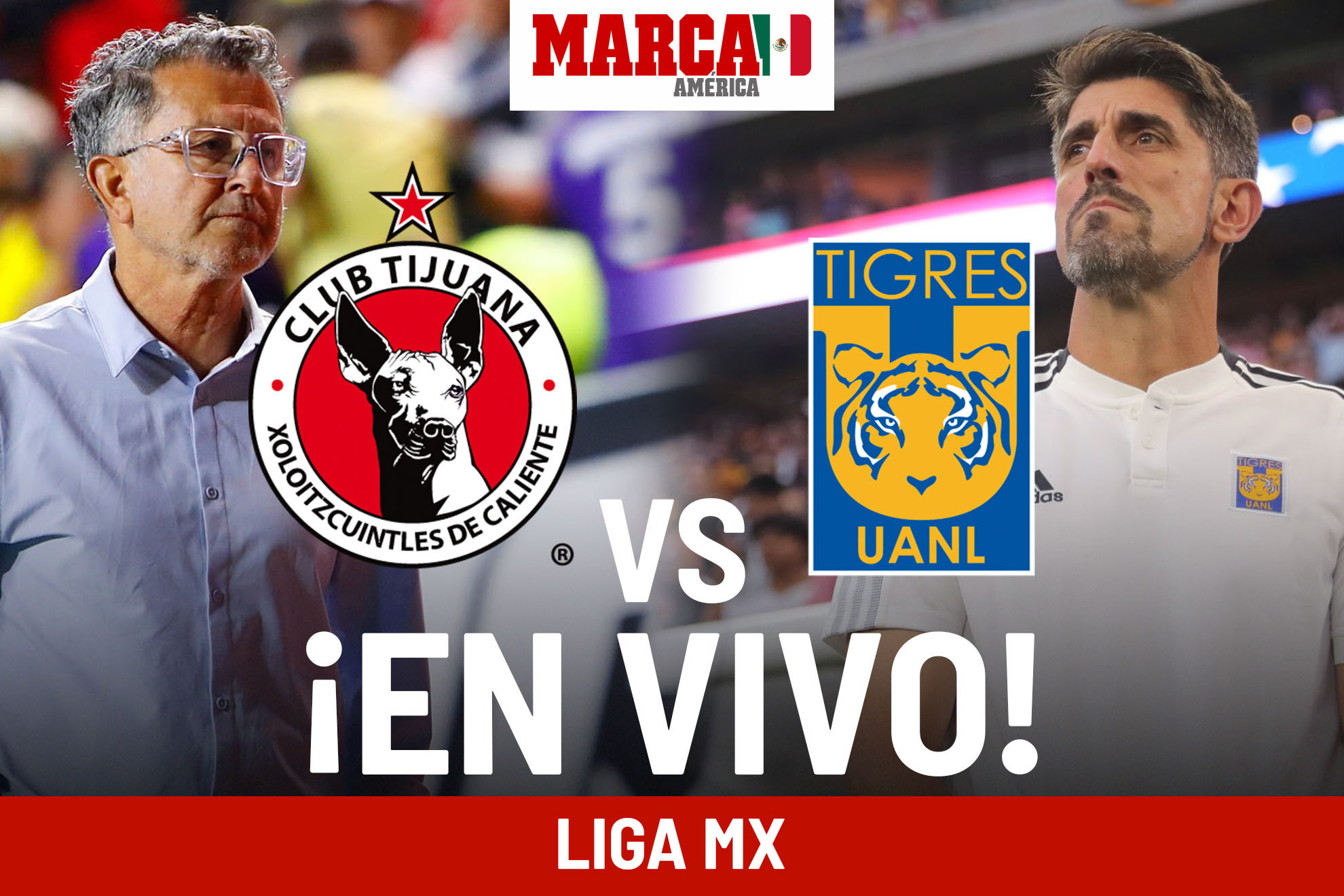 Noticias Club Tigres UANL hoy - MARCA México