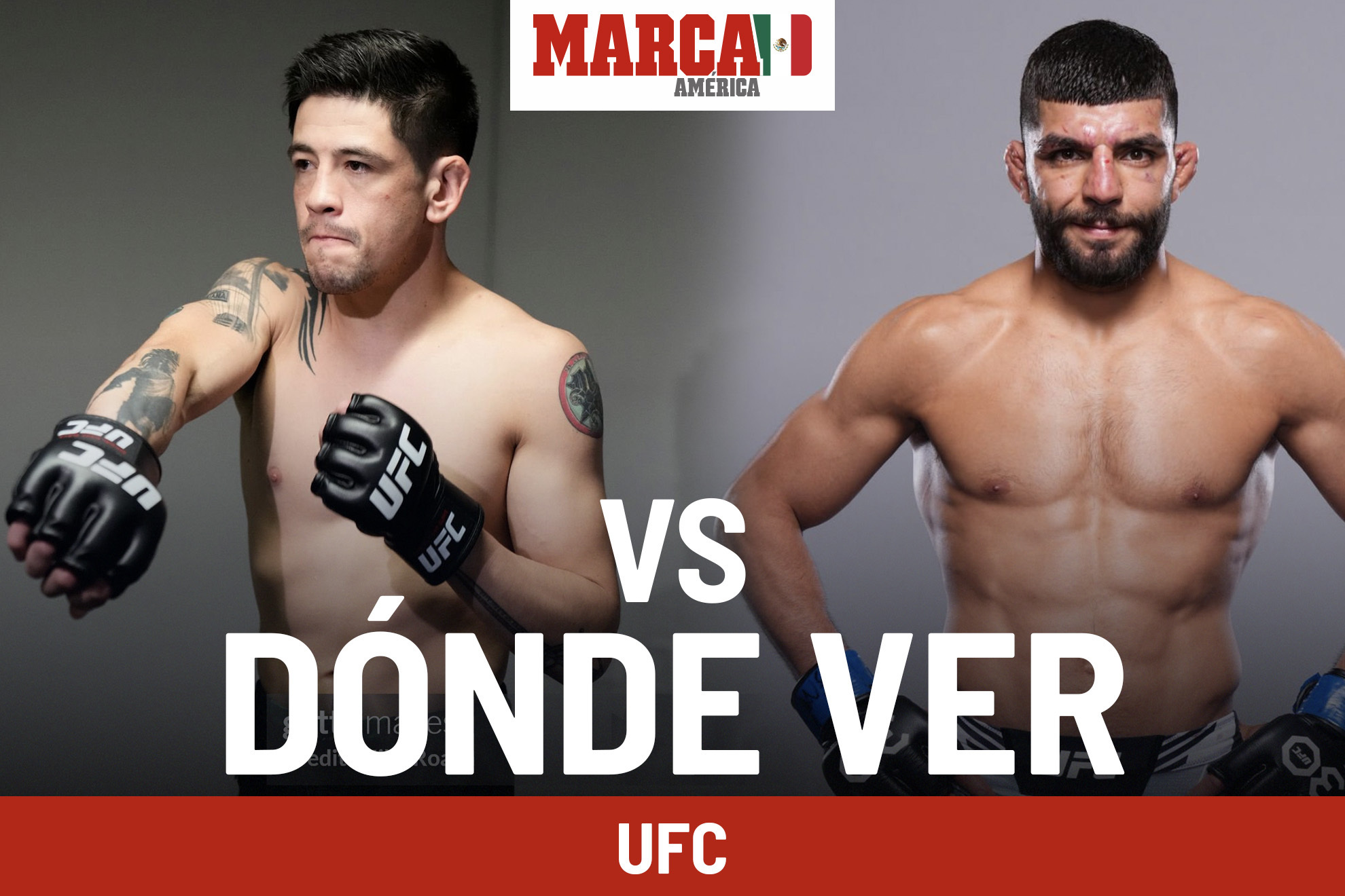 UFC | Todas las noticias