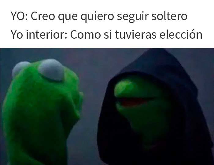 Los mejores memes del Día del Soltero 2024 para mandar por WhatsApp ...