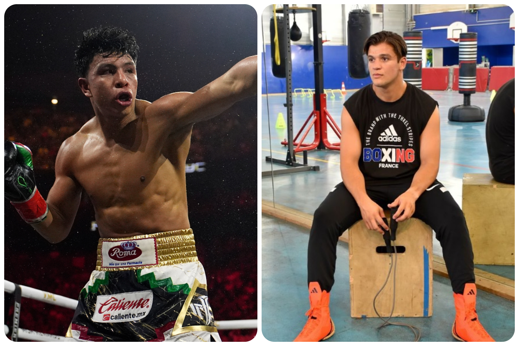 ¿Cuándo pelea Jaime Munguía vs Bruno Surace? Fecha y rival en diciembre 2024 | MARCA México