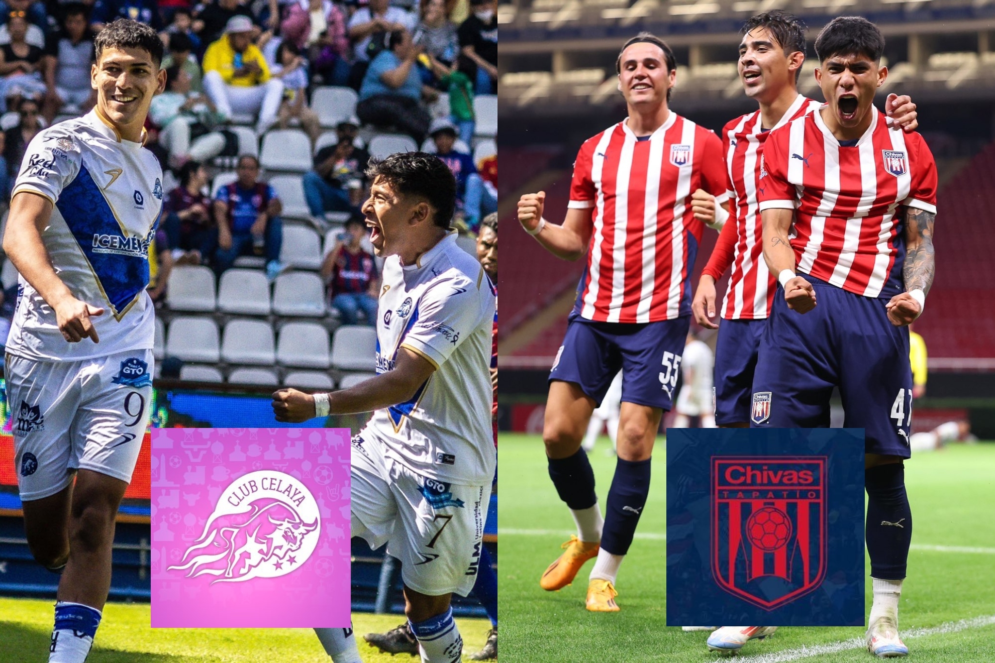 Liga de Expansión MX | Todas las noticias