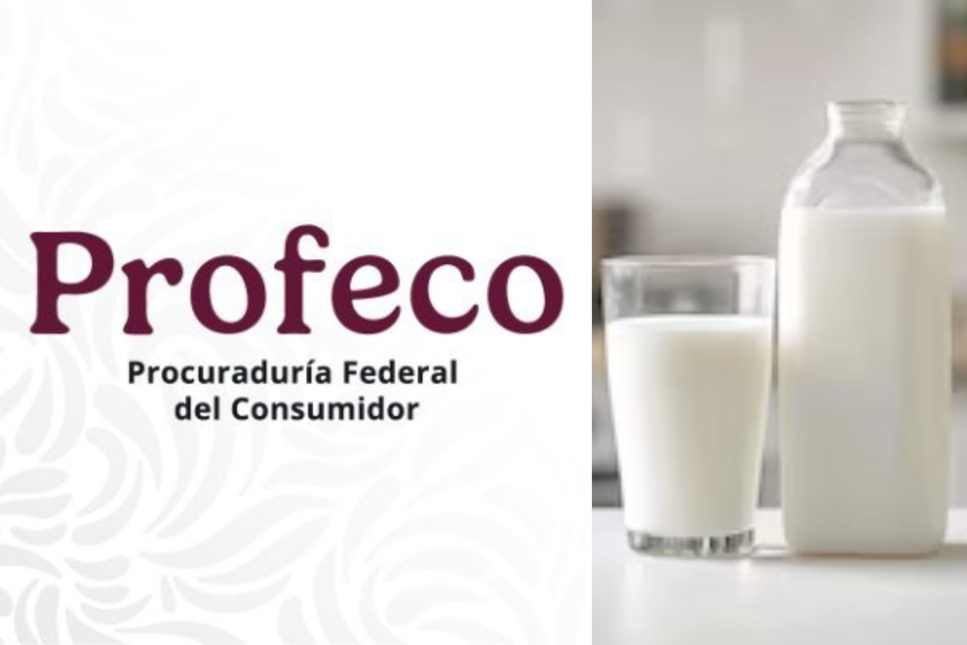 La mejor leche con más proteínas en México: no es Alpura ni Santa Clara ...