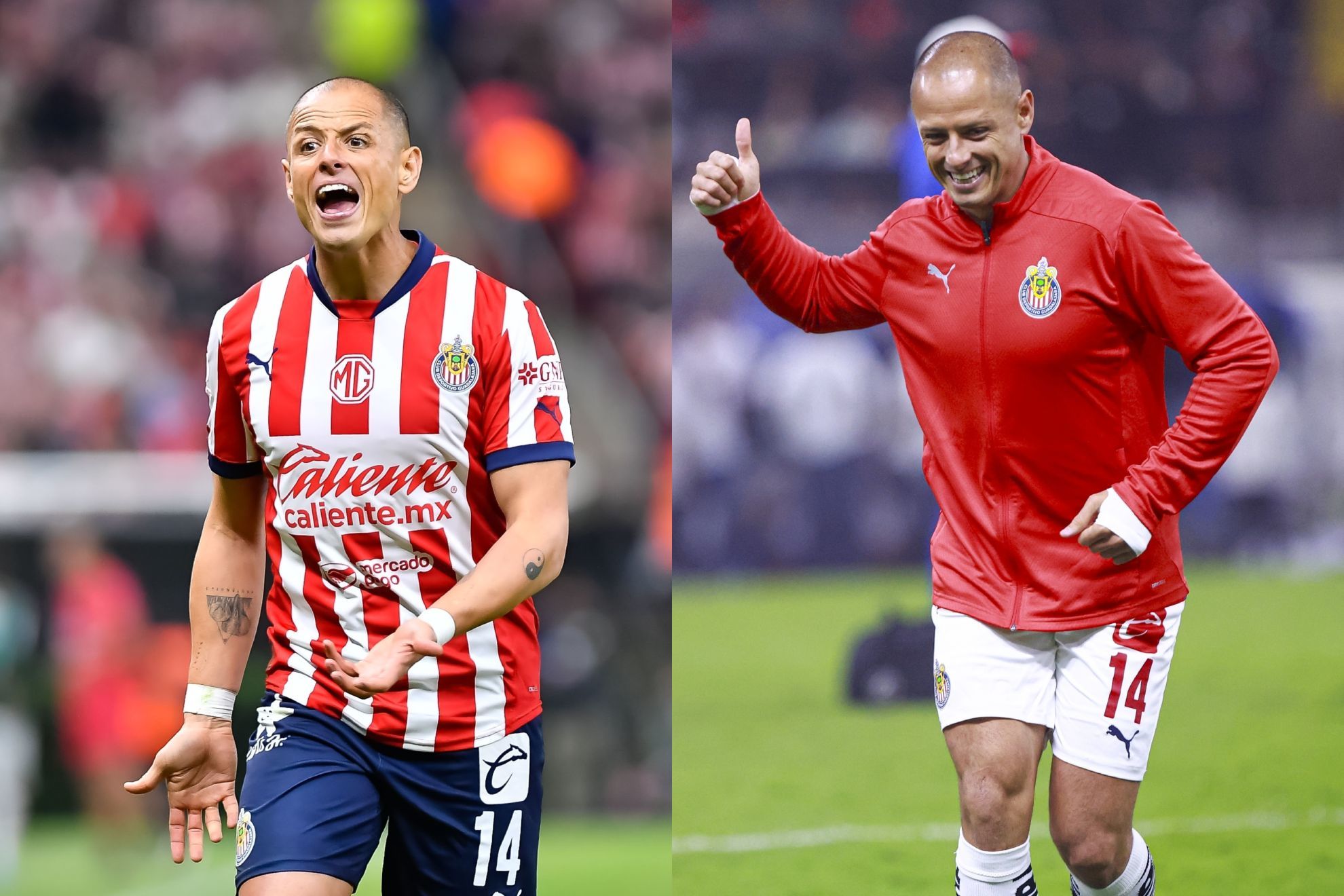 Noticias de Chivas del Guadalajara hoy - MARCA México
