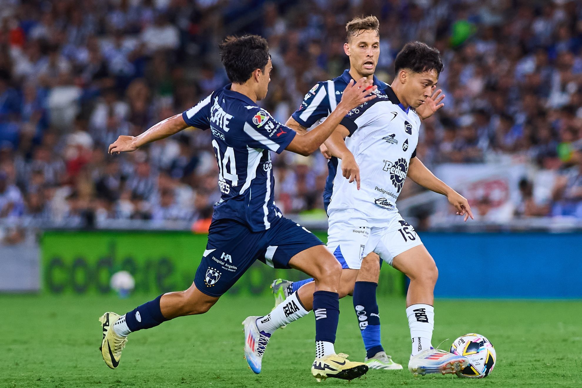 Liga MX 2025: Rayados se queda sin Carlos Salcedo, pero manda nuevo ...