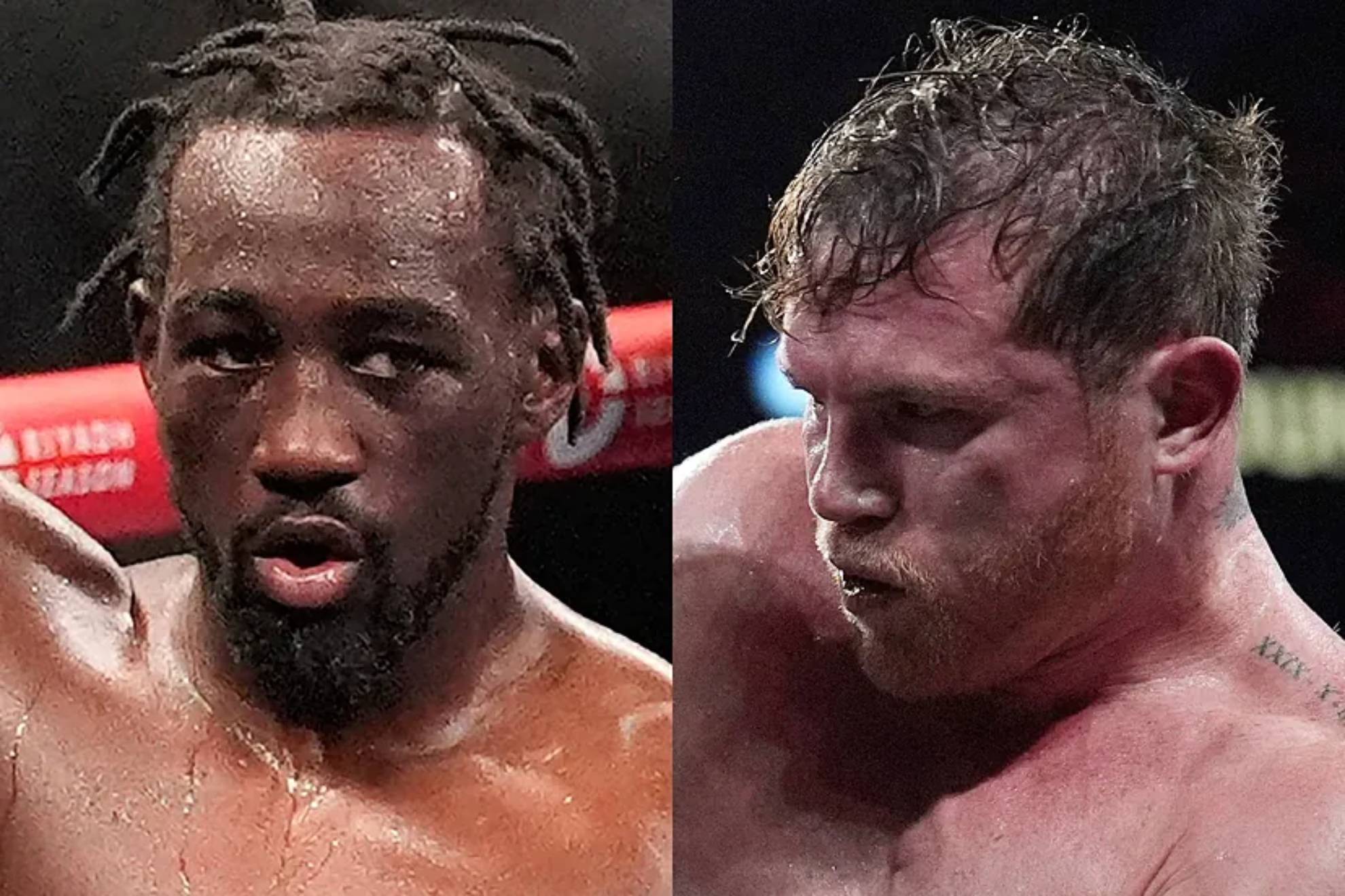 ¡Canelo vs Crawford cancelado! El combate del año se cae con todo ...