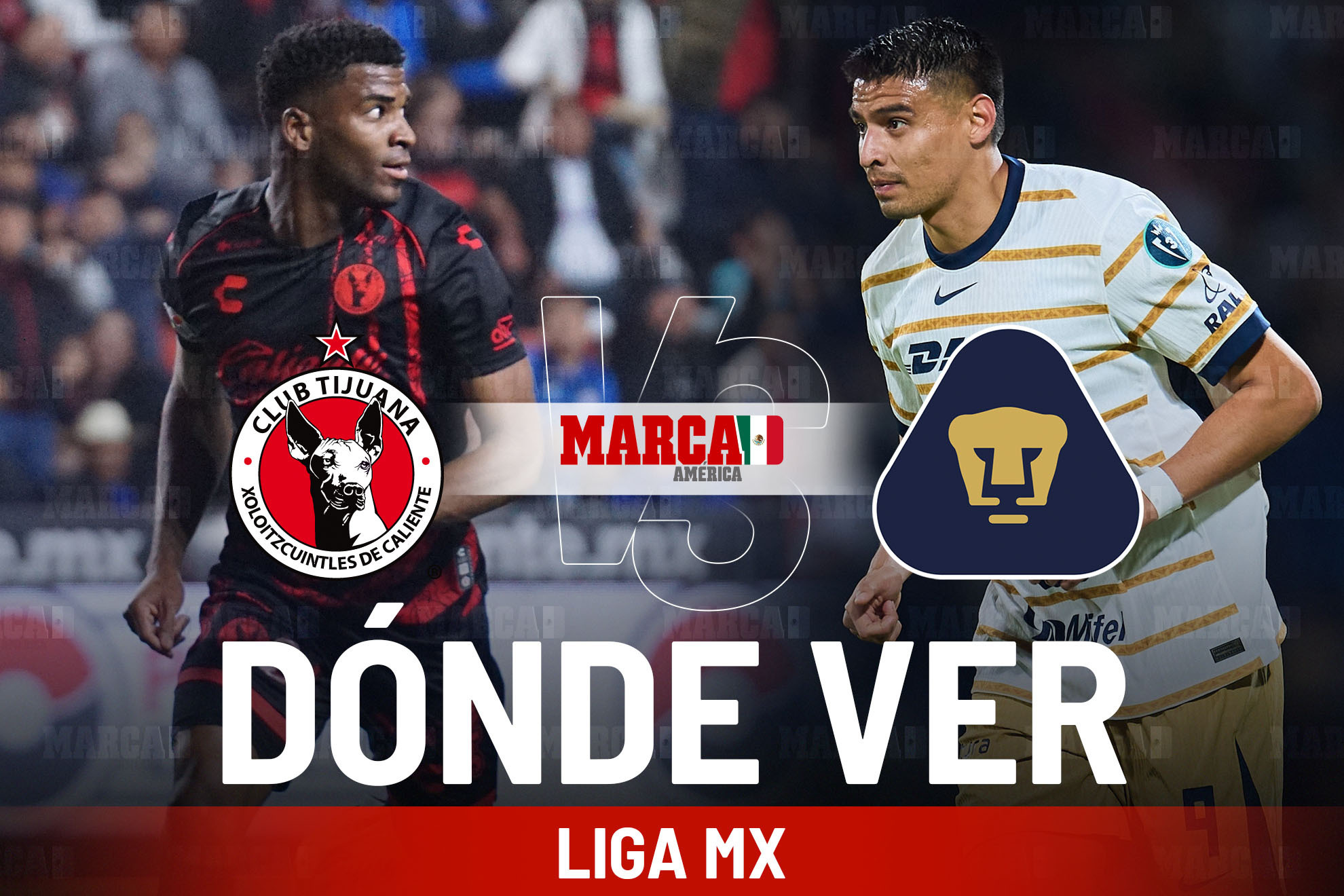 Noticias Club Tijuana hoy - MARCA México