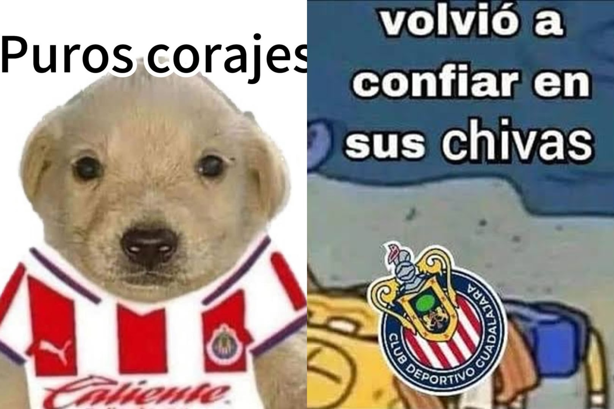 Liga MX 2025Memes castigan a Chivas por su eliminación en Liga MX 2025 ...