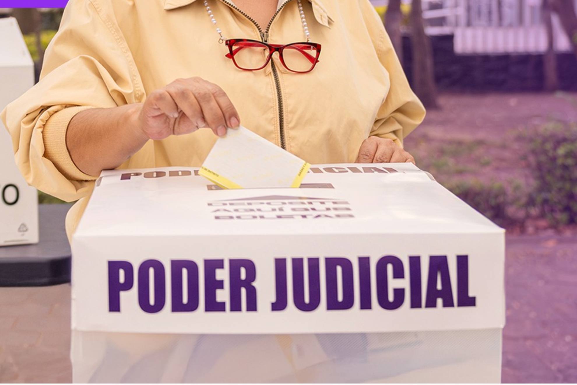 Poder Judicial - Últimas noticias en MARCA México